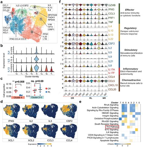 Single Cell Transcriptomic Clustering Of Car T Cells Identifies Download Scientific Diagram