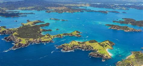 Southern Odyssey New Zealand And The Subantarctic Islands