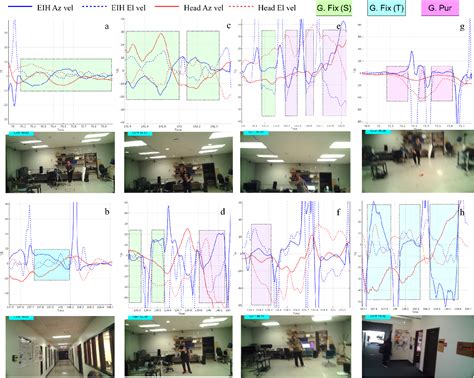 Gaze In Wild A Dataset For Studying Eye And Head Coordination In Everyday Activities Gaze In Wild A Dataset For Studying Eye And Head Coordination In Everyday Activities