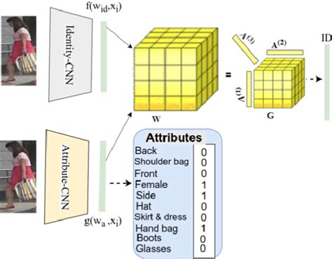 Figure 3 From Overview Of Deep Learning Based Pedestrian Attribute Recognition And Re
