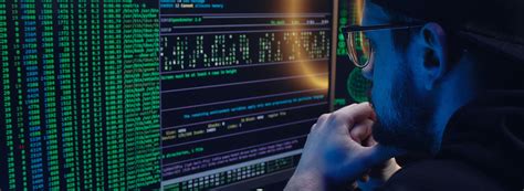 The Dark Side Of Software The Vulnerabilities That Hackers Exploit