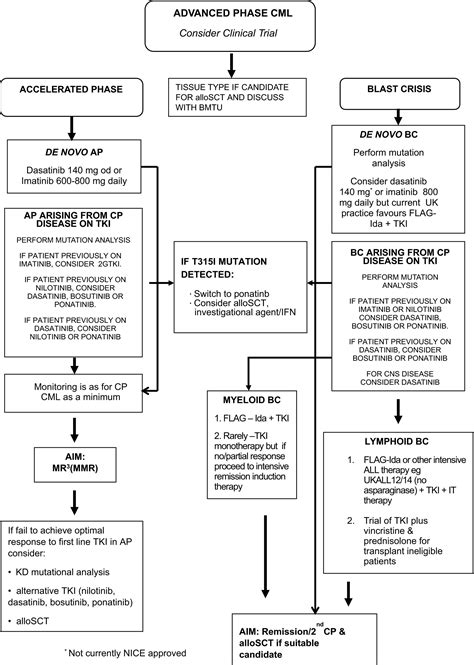 Ajuste Detección Pavo Cml Monitoring Guidelines Desafortunadamente Formación Torneo