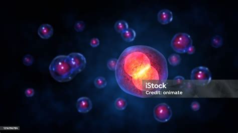 줄기 세포 유기체 세포 부문 의학 과학 개념의 3d 그림 암세포에 대한 스톡 사진 및 기타 이미지 암세포 분할 추상적인 Istock
