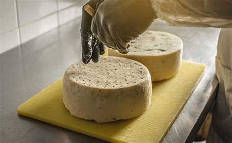 검은 장갑을 낀 농부가 파란 곰팡이가있는 매운 고르곤졸라 치즈 머리를 슬라이서와 조각으로 자른다 35 39세에 대한 스톡 사진 및 기타 이미지 Istock