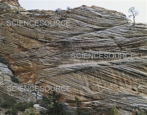 Cross Bedded Sandstone Stock Image Science Source Images