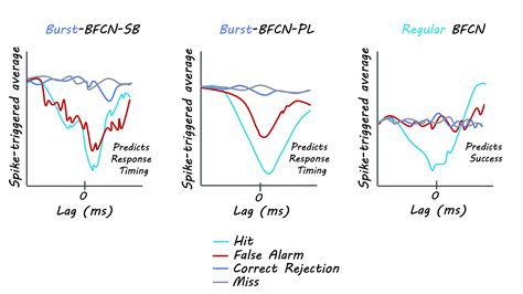 Two Basal Forebrain Cholinergic Neuron Types Show Distinct Properties — Brainpost Easy To Read