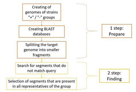 Scheme Of The Pipeline Download Scientific Diagram