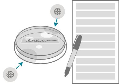 Seal And Label Immunolytics