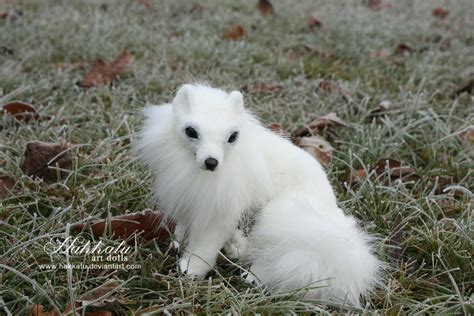 For Adoption Frost Fox By Aurorawilc On Deviantart