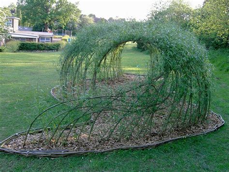 Living Willow Structures 15 Unique Project Ideas Sensory Garden
