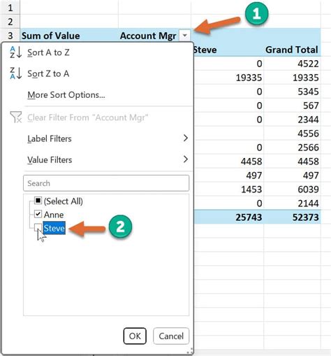 How To Apply Multiple Filters To The Same Field In An Excel Pivot Table Excel At Work