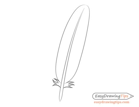 How To Draw A Feather Step By Step EasyDrawingTips