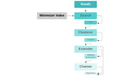 pipeline diagram of the mapper input reads are scanned for minimizers download scientific