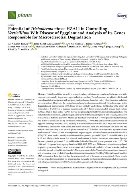 Pdf Potential Of Trichoderma Virens Hza14 In Controlling Verticillium