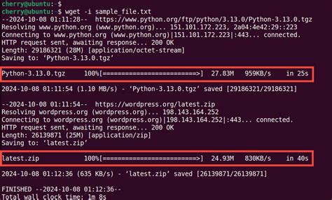 Top 20 Linux Network Commands With Examples Cherry Servers