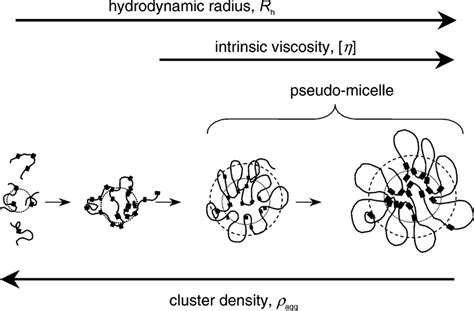 Schematic Illustration Of The Conformational Differences Between Pvas