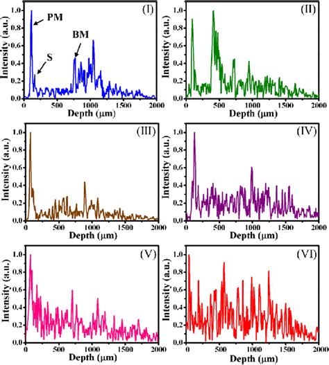 OCT Intensity Profiles For The Various Conditions Described In Figure Download Scientific