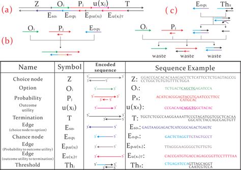 Dna Sequence Design Motif See Online Version For Colours Download Scientific Diagram