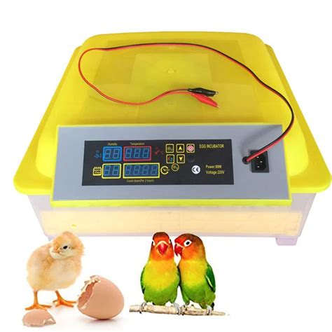Egg Incubator Hatchery Machine W Temperature Humidity Control Fertilized Parrot Eggs For Sale