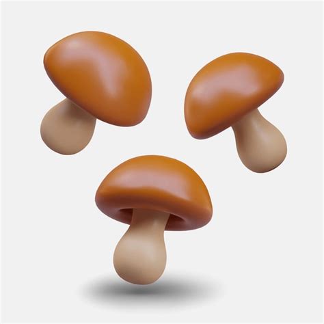 6 Ceps Floating Design Royalty Free Photos And Stock Images Shutterstock