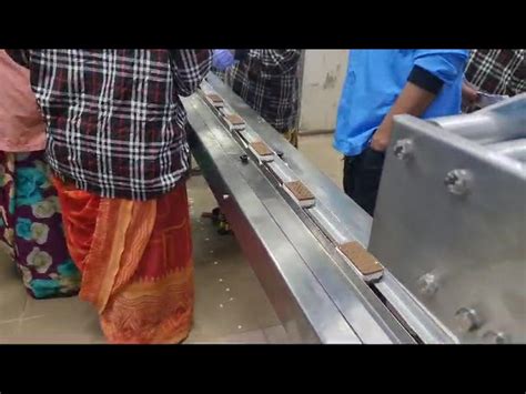 Horizontal Flow Wrapping Machine Khakhara Pouch Packing Machine Manufacturer From Ahmedabad