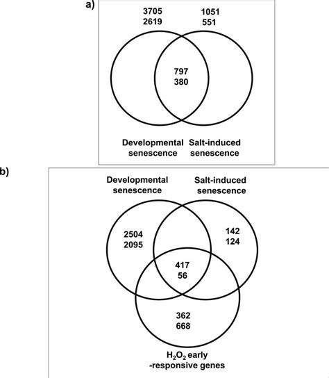 Shared Gene Expression Responses A Venn Diagram Showing The Overlap Download Scientific