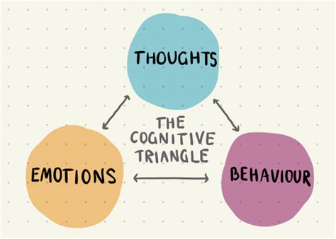 Memory Schema Theory And Their Reliability Flashcards Quizlet