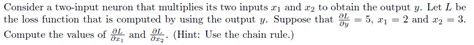 Solved Consider A Two Input Neuron That Multiplies Its Two