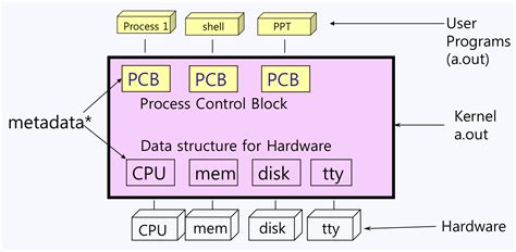 Process Management PCB Fork Exec