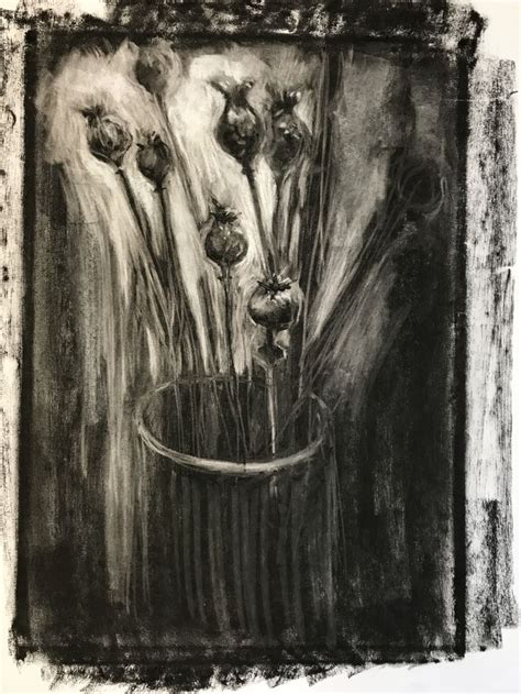 Charcoal Reductive Drawing By Fiona Carvell Poppy Seeds Charcoal Art Charcoal Sketch Drawings