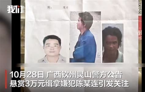 61岁老妇遗体在草堆找到，广西警方悬赏3万缉拿嫌犯陈某连腾讯新闻