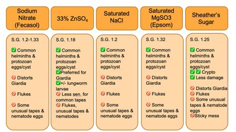 Module 2 3 Fecal Flotation Clinical Veterinary Diagnostic Laboratory