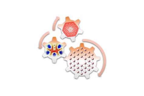 Cooperativity And Reactivity Properties Of Medium Sized Boron Clusters A Combined Density
