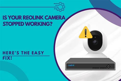 Your Reolink Camera Stopped Working Heres The Easy Fix