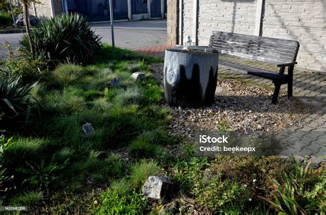 거리에는 아이들이 나무 그루터기로 그린 큰 통나무가 있습니다 콘크리트 울타리 뒤의 테이블과 벤치 이웃을위한 만남의 장소 엄마가 커피를 마시는 놀이터 촛불 램프 등불 거리에