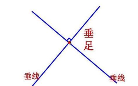 当两条直线相交成直角时，这两条直线 ，其中一条直线叫做另一条直线的（），它们的交点叫做（ 百度经验
