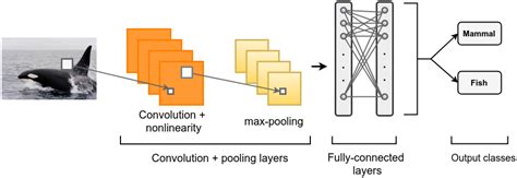 Accelerometer Based Human Fall Detection Using Convolutional Neural Networks