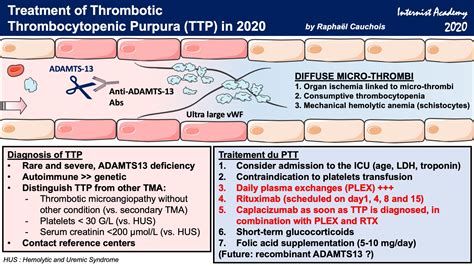Trombotik Trombositopenik Purpura Ttp Tıpacı