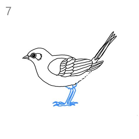 How To Draw A Mockingbird Step By Step Easy Drawing Guides Drawing Howtos