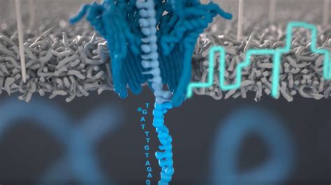 The Human Genome Center At University Of Tokyo Adopts NVIDIA Clara Parabricks For Rapid Genomic