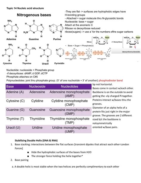 Biochem Review Biochem 2280 Biochemistry And Molecular Biology