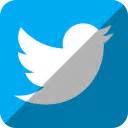 proyectos con Arduino para profanos Rufián en la Red