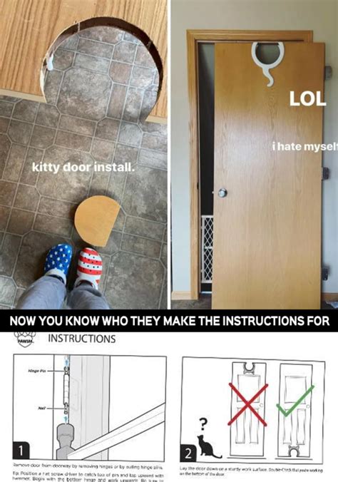 Instructions Unclear Cat Stuck On Door Meme Guy
