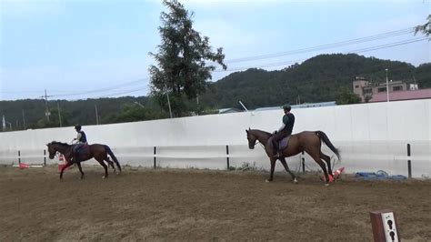 보드강습스노보드승마강습래프팅스케이트보드수상스키플라잉디스크 Youtube