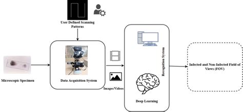 Proposed Tb Detection System Architecture Download Scientific Diagram
