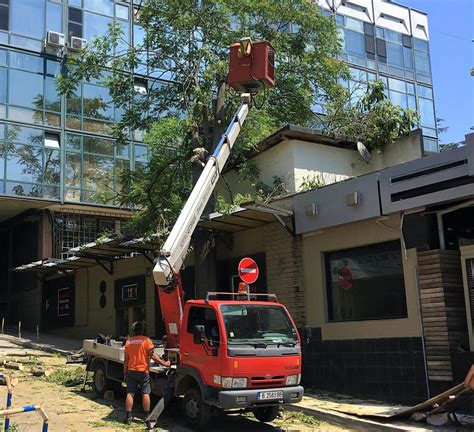 Отсичане на дървета в частен имот — Rezach Bg