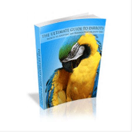 The Ultimate Parrot Guide Health Wellness