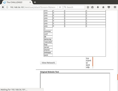 OWASP BWA WebGoat Challenge Final Challenge Byte Sized