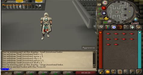 Afking At Ammonite Crabs Eventually Paid Off Finally Some Rc Levels R 2007scape