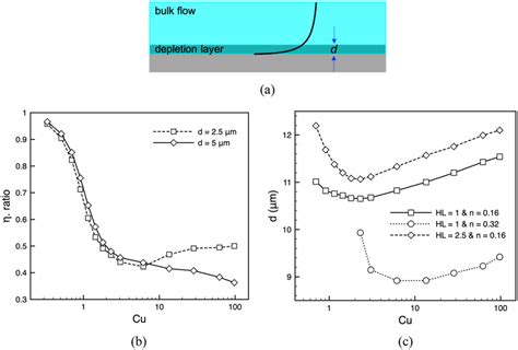 A An Illustration Of Depletion Layer And Bulk Layer On The Surface B Download Scientific